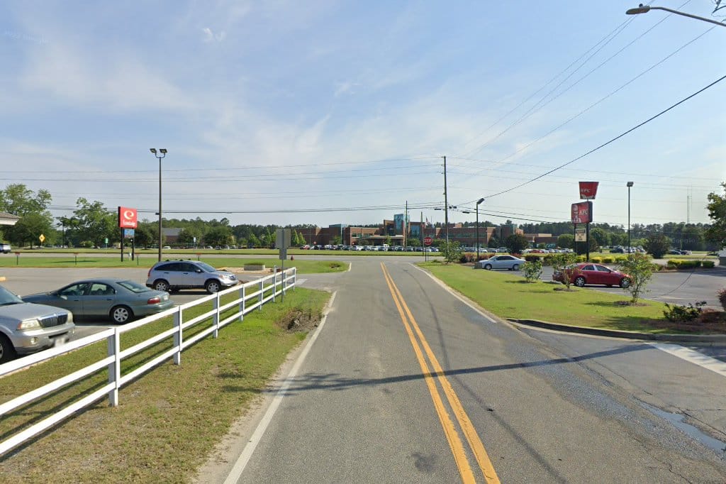 Dixie Dog Rescue in Vidalia, GA - Find Paw Pal