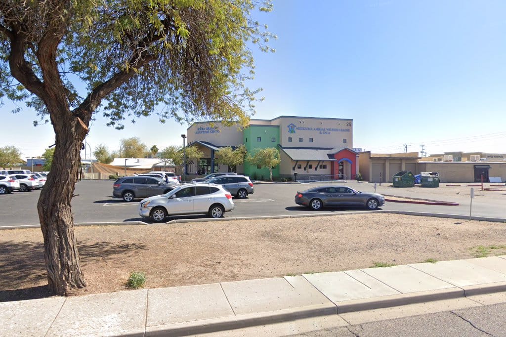 Animal Shelter in Phoenix, AZ - The County Office