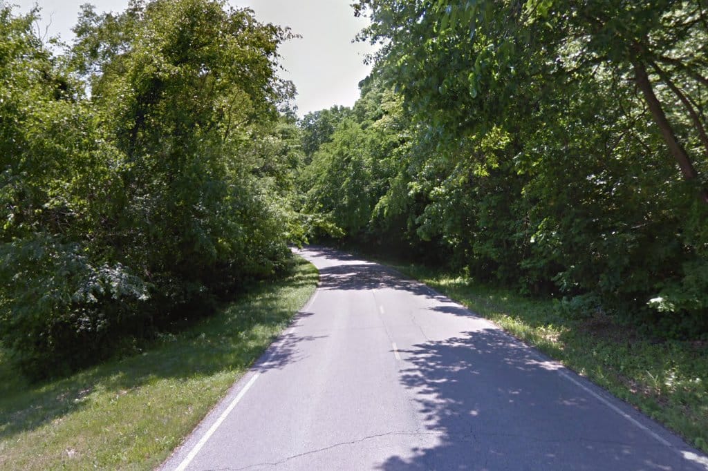 Animal Shelter in Excelsior Springs, MO - The County Office