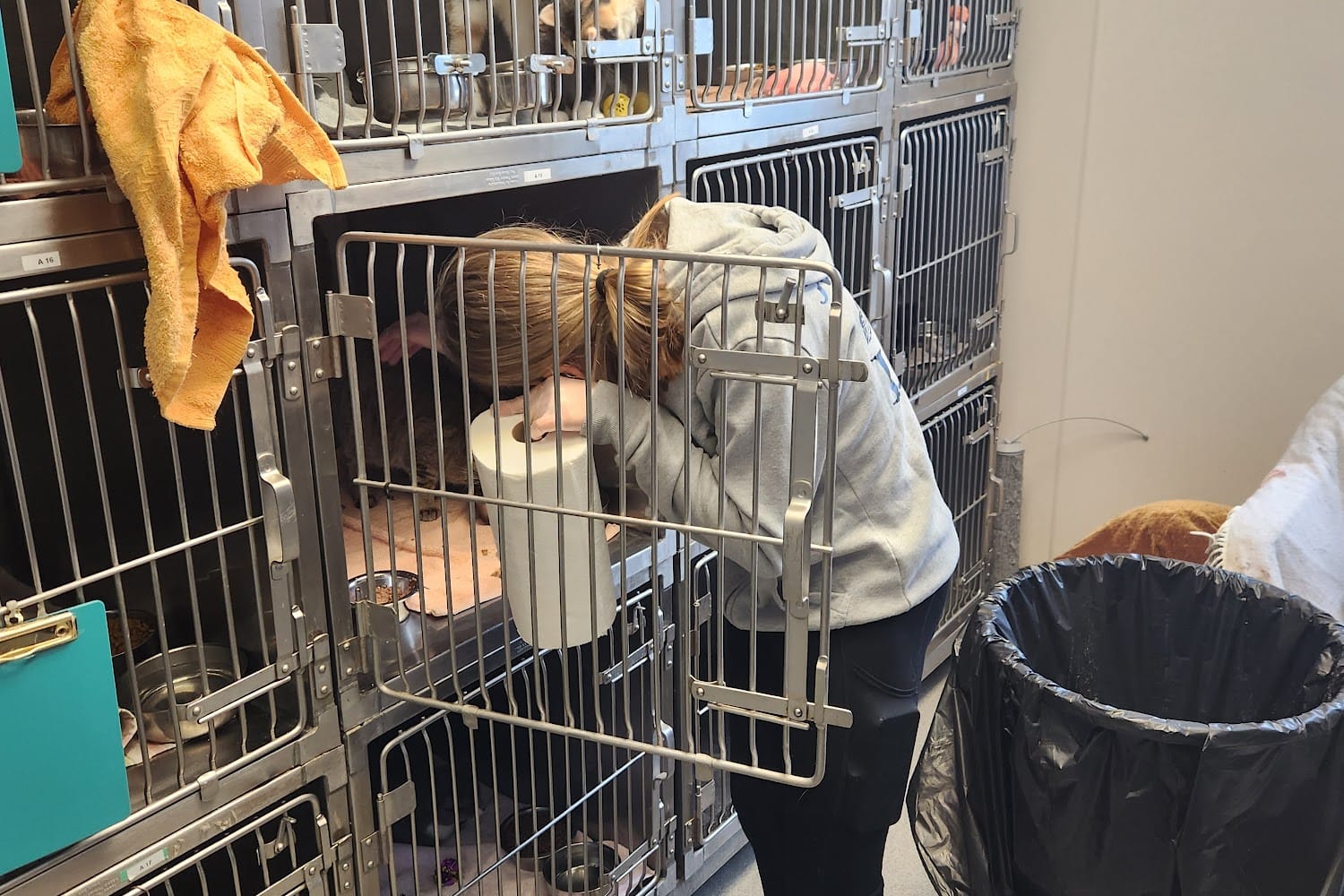 Animal Shelter in Harrison County, IN - The County Office