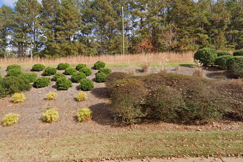 Bartow County Library System in Cartersville, GA - The County Office