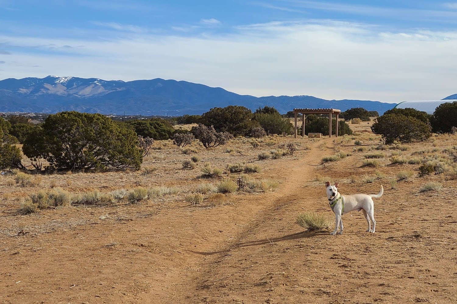 Animal Shelters in Santa Fe, NM - Find Paw Pal