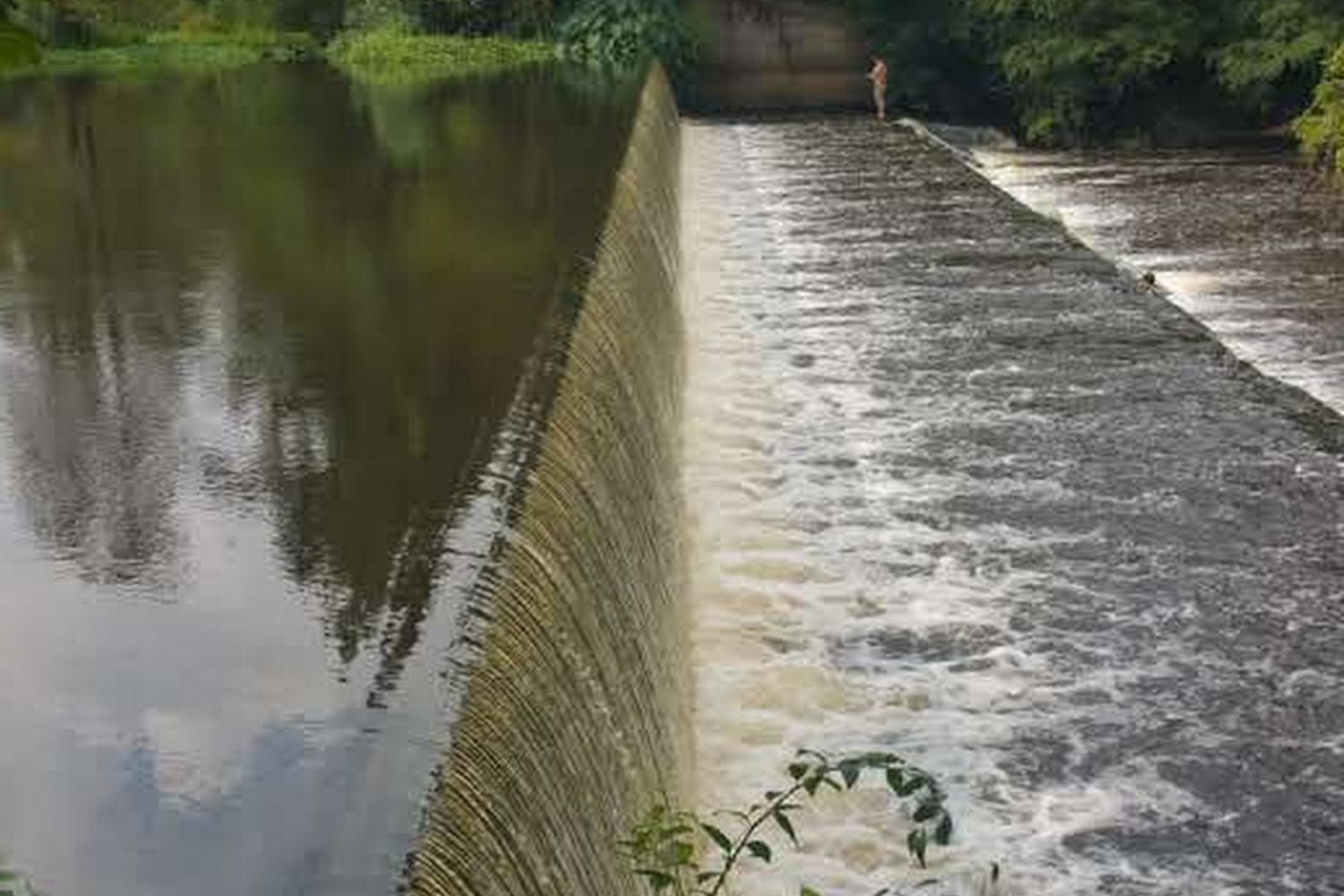 Animal Shelter in St. Tammany Parish, LA - The County Office