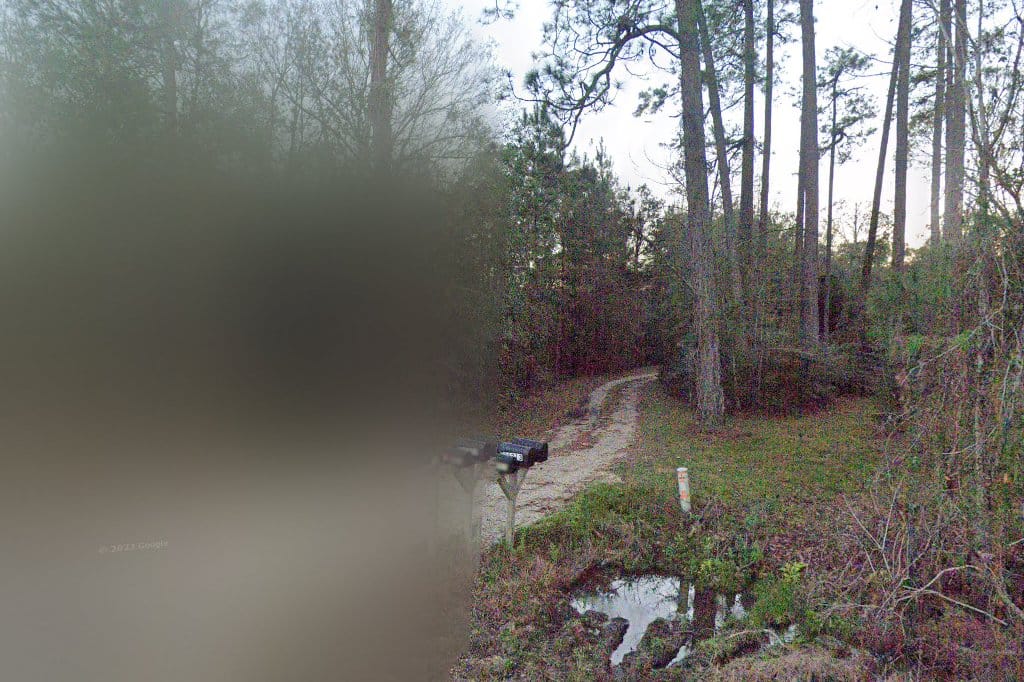 Animal Shelter in St. Tammany Parish, LA - The County Office