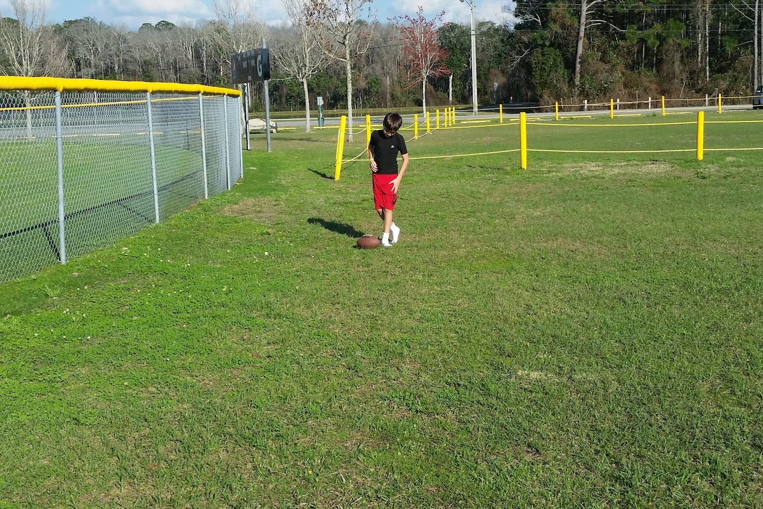 Lynn Haven Animal Control in Lynn Haven, FL - Find Paw Pal