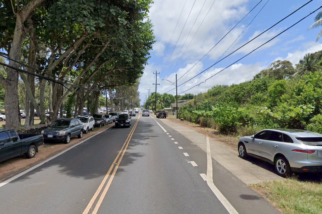 Noah's Ark Animal Betterment in Kapaa, HI - Find Paw Pal