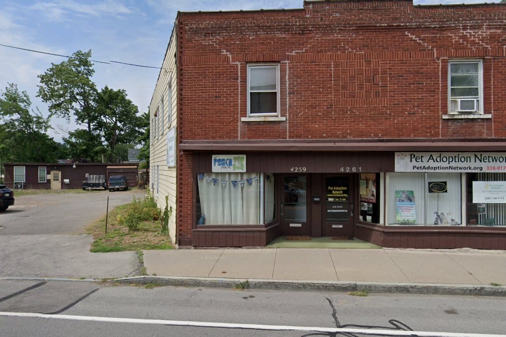 Dog Rescue in Rochester, NY - Find Paw Pal