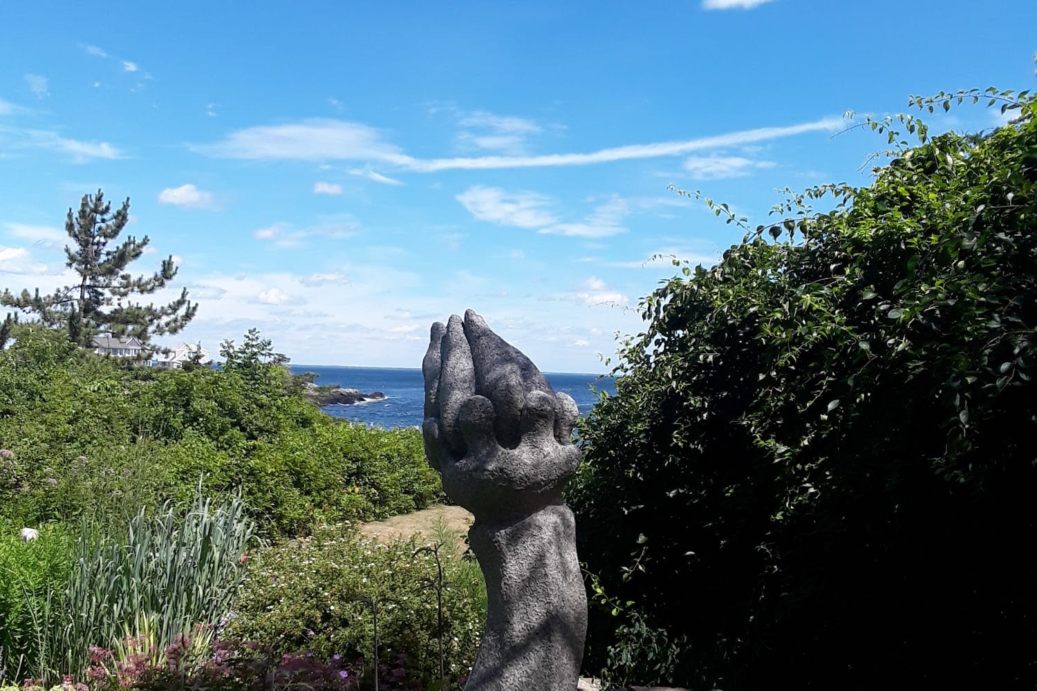 Animal Shelter in Maine - The County Office