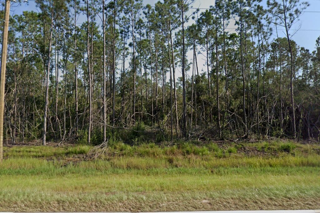 Lynn Haven Animal Control in Lynn Haven, FL - The County Office