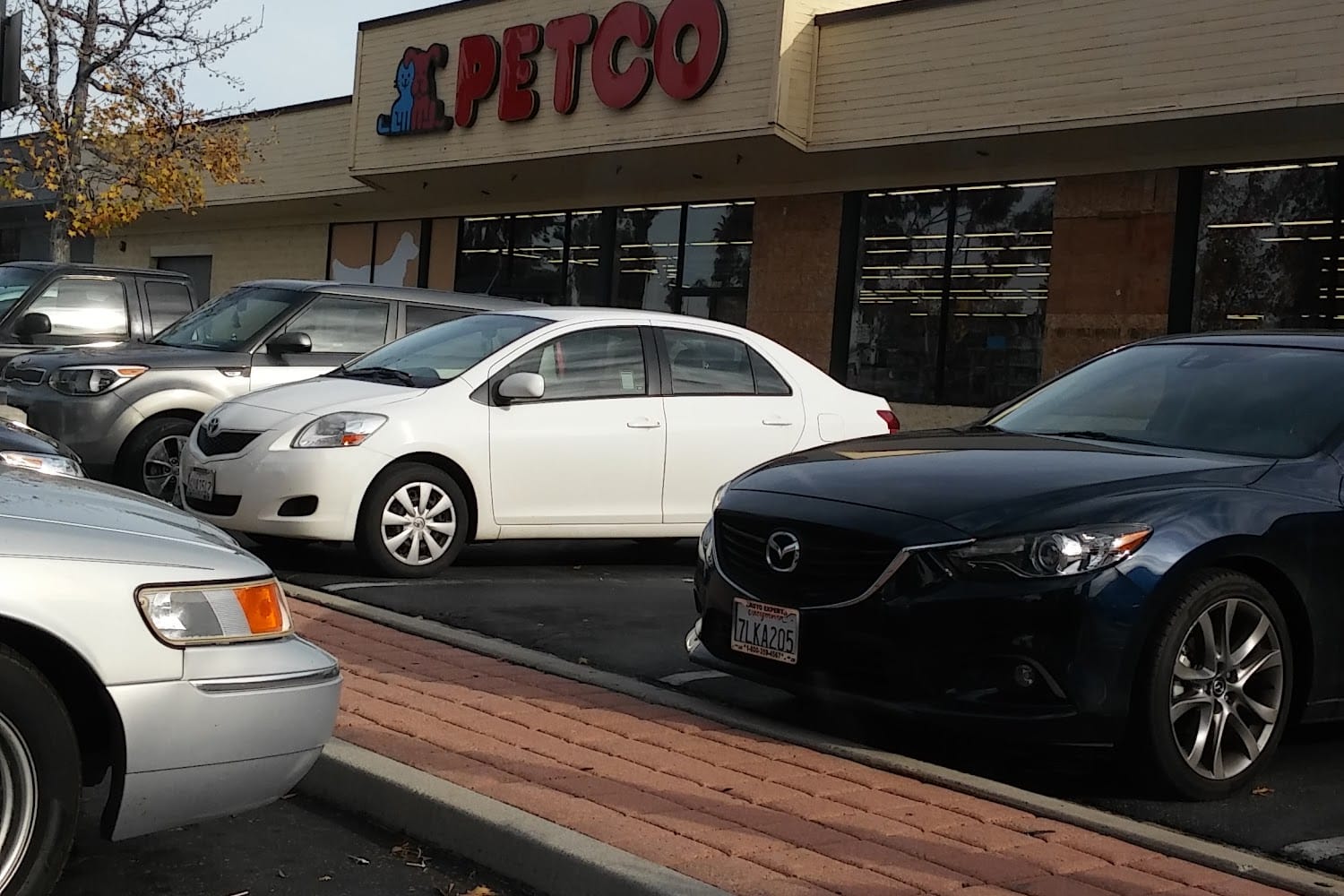 Animal Hospital of Riverside in Riverside, CA - The County Office