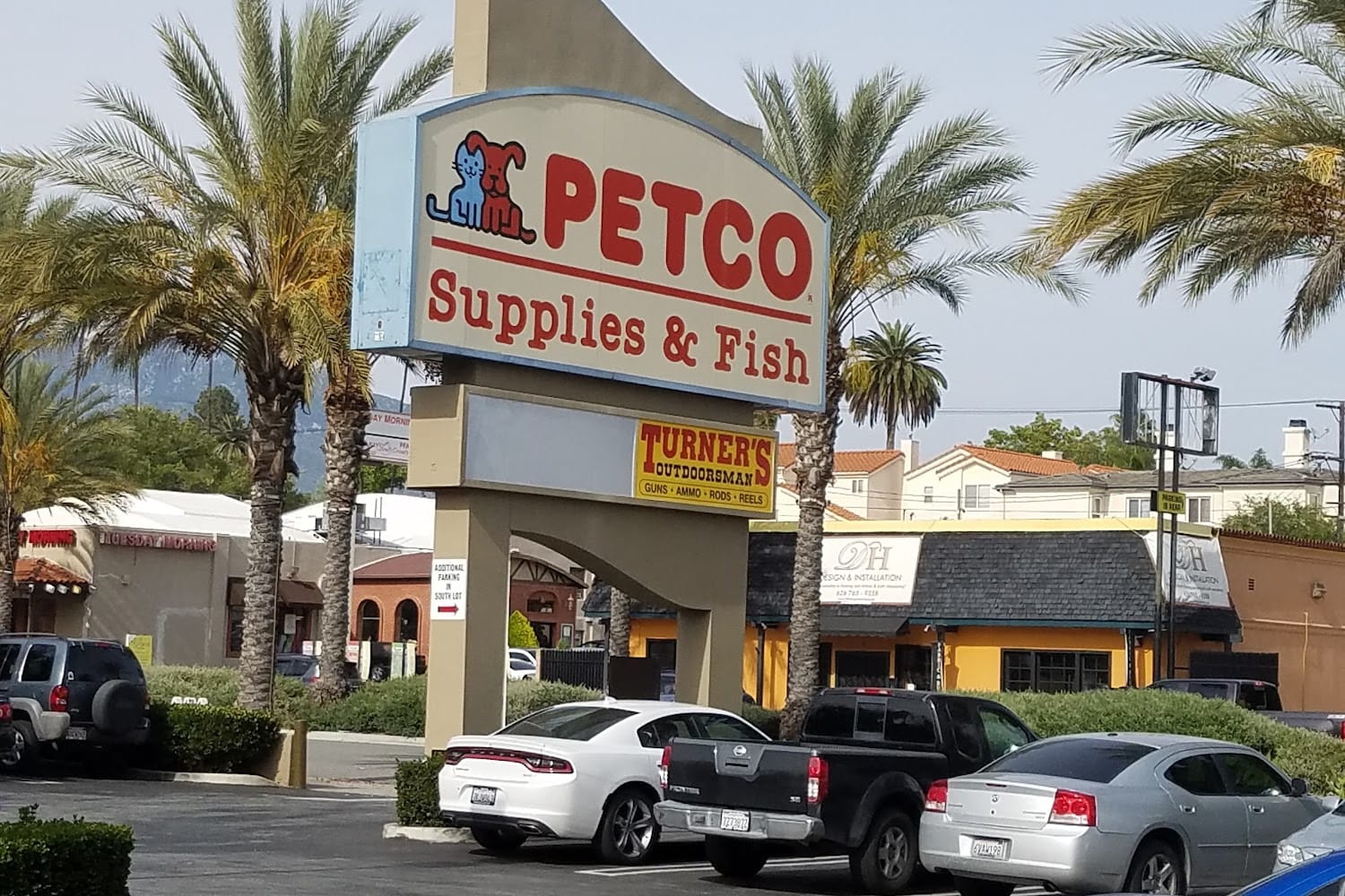 Animal Hospital in Pasadena, CA - The County Office