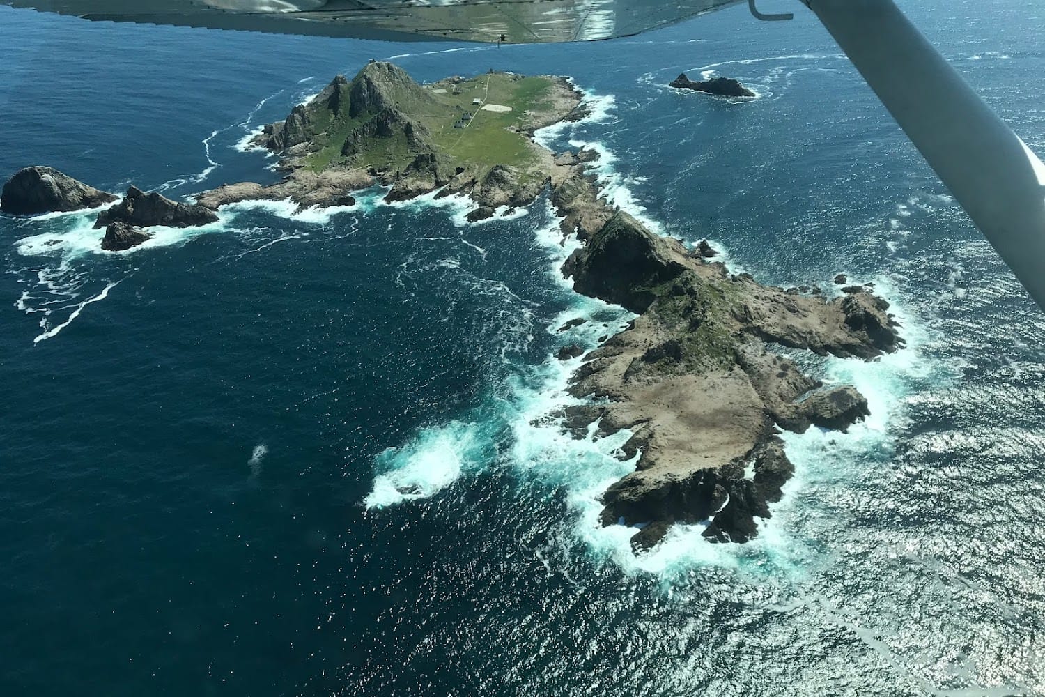 Animal Shelter in San Francisco, CA - The County Office