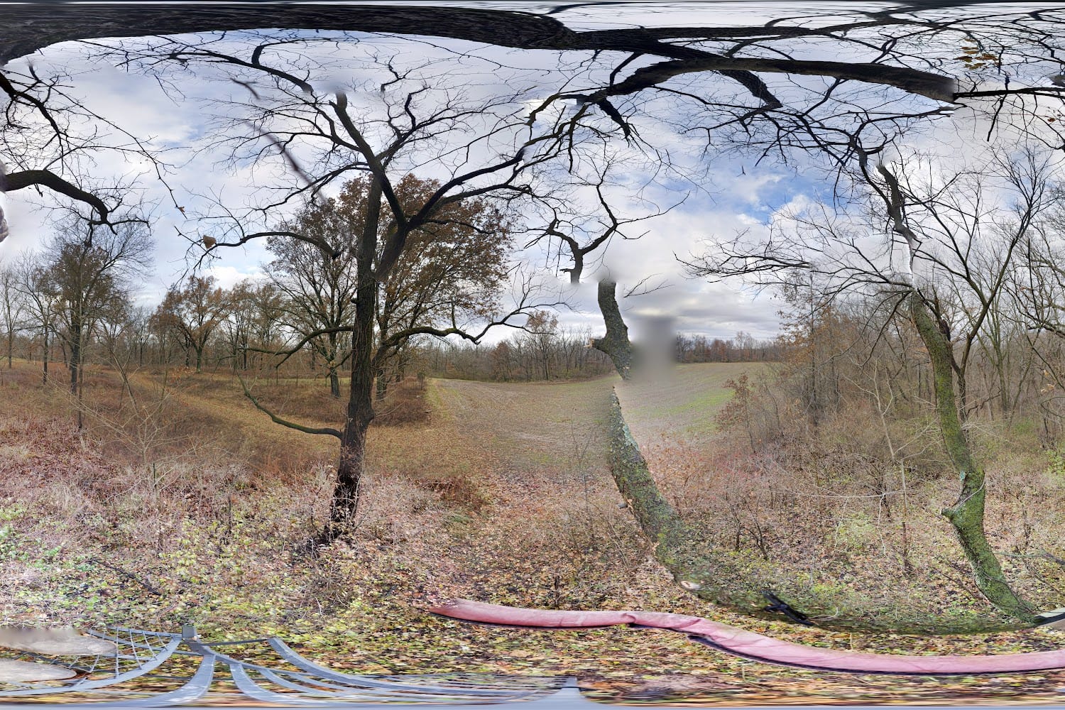 Metro East Humane Society in Edwardsville, IL - Find Paw Pal