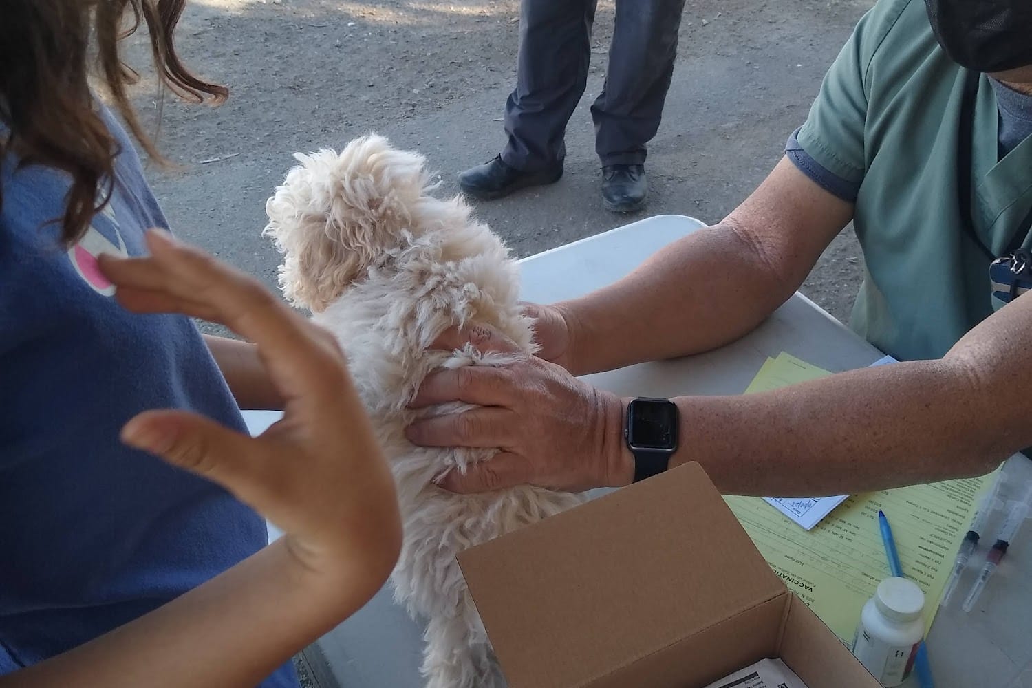 Imperial City Animal Control in Imperial, CA - Find Paw Pal