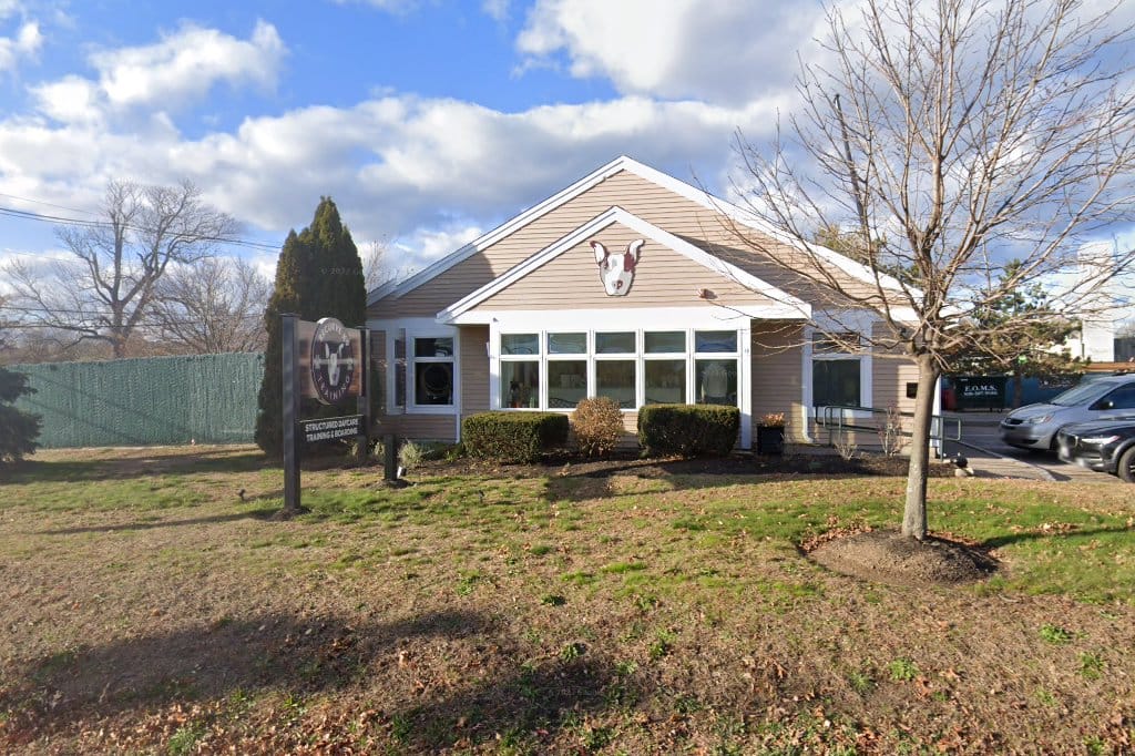 Animal Shelter in Scituate, MA - The County Office