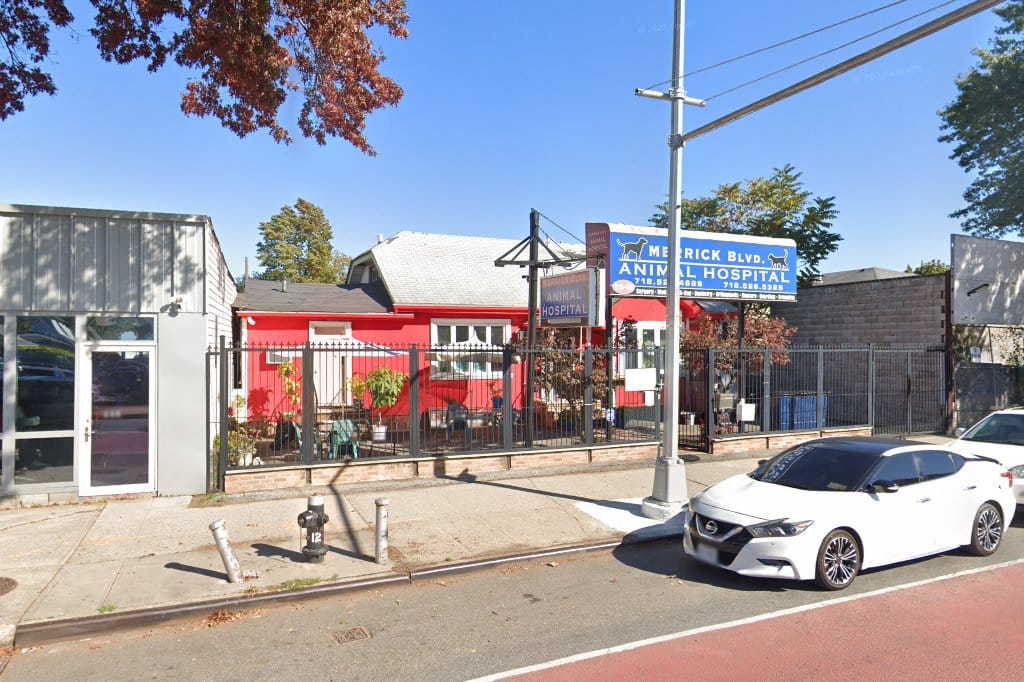 Social Service in Queens County, NY - The County Office