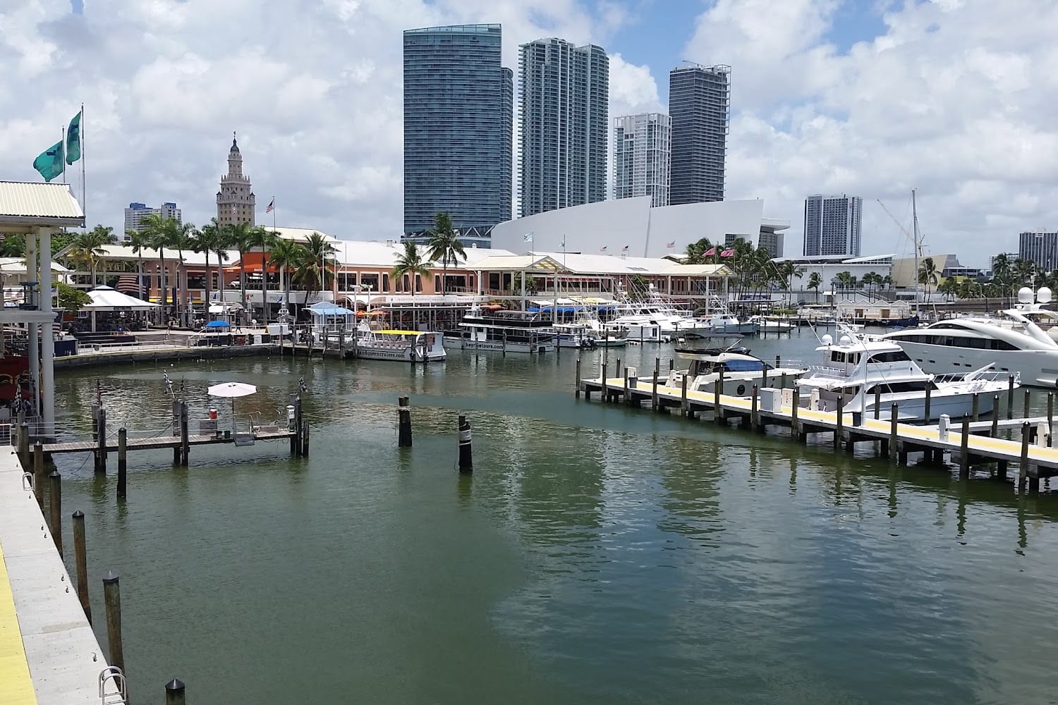 Goodwill in Miami, FL - The County Office