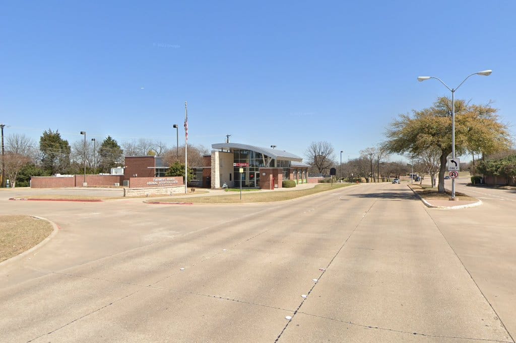 Animal Shelter in Dallas County, TX - The County Office