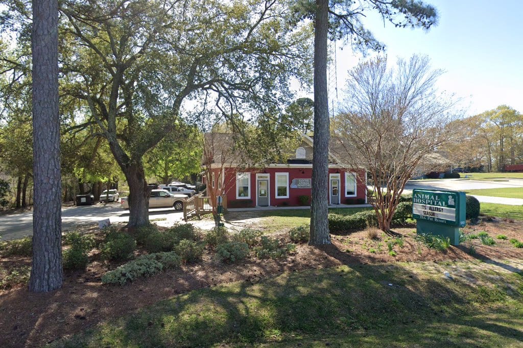 Animal Hospital in Santee, SC - The County Office