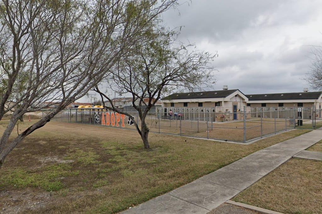 Welcome Home Barnyard Animal Sanctuary in Corpus Christi, TX - The ...