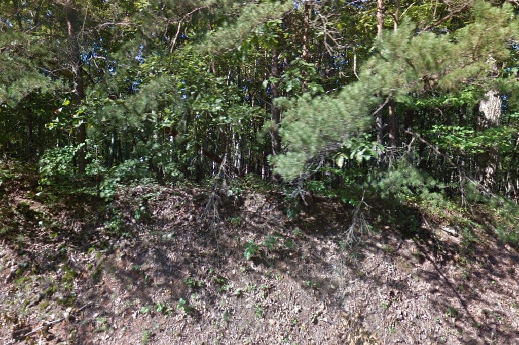 Albemarle County Animal Control in Charlottesville, VA - The County Office