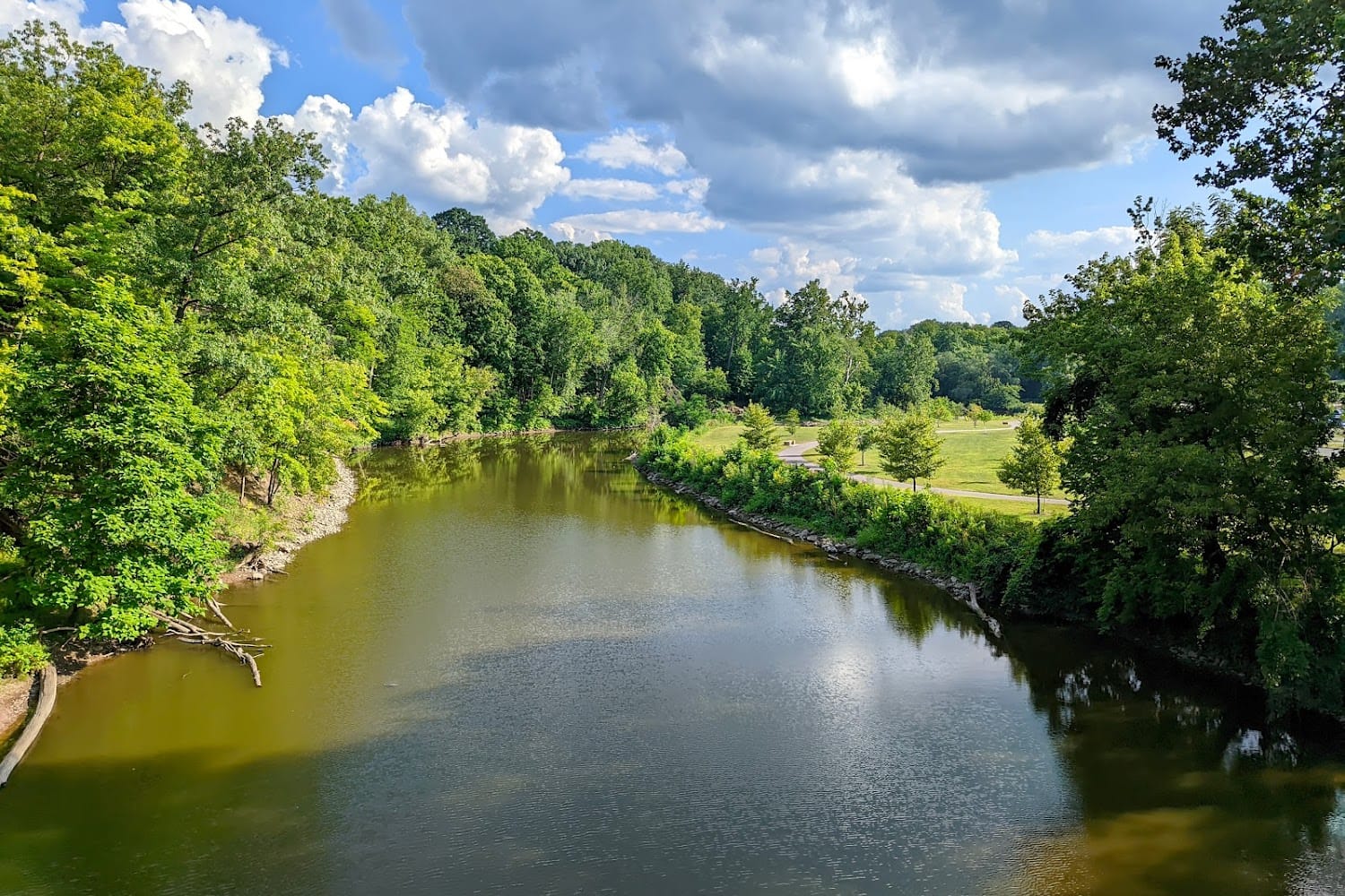 Friendship Animal Protective League in Elyria, OH - Find Paw Pal