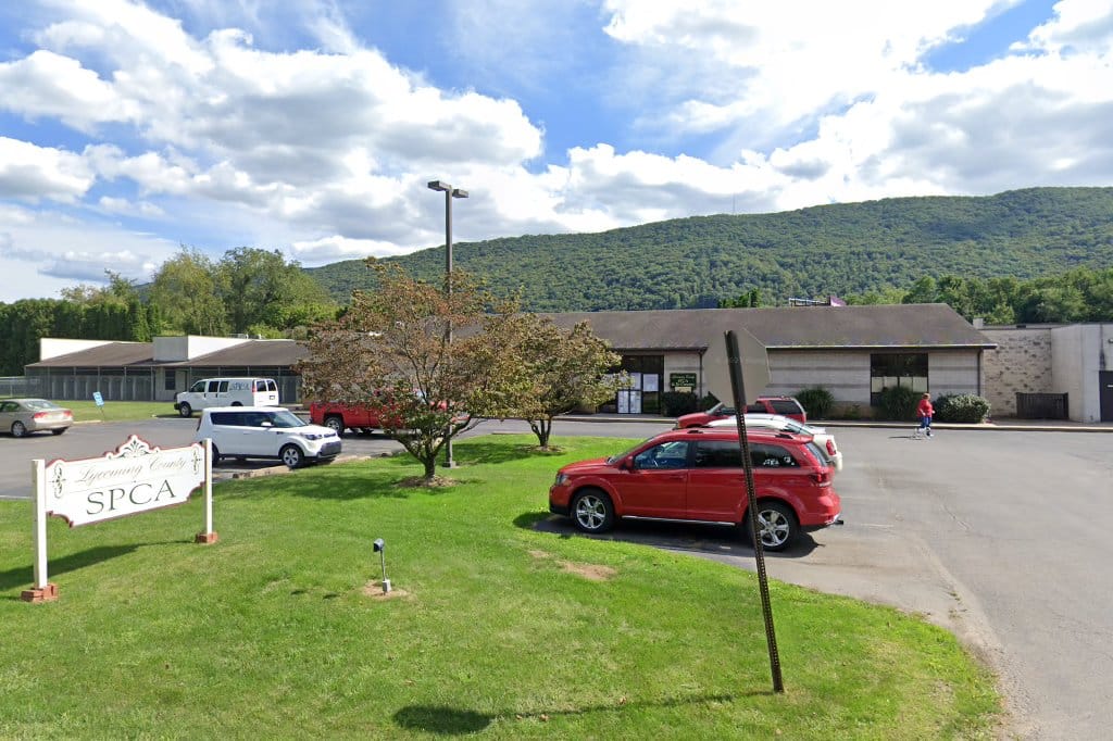 Lycoming Animal Protection Society in Williamsport, PA - Find Paw Pal