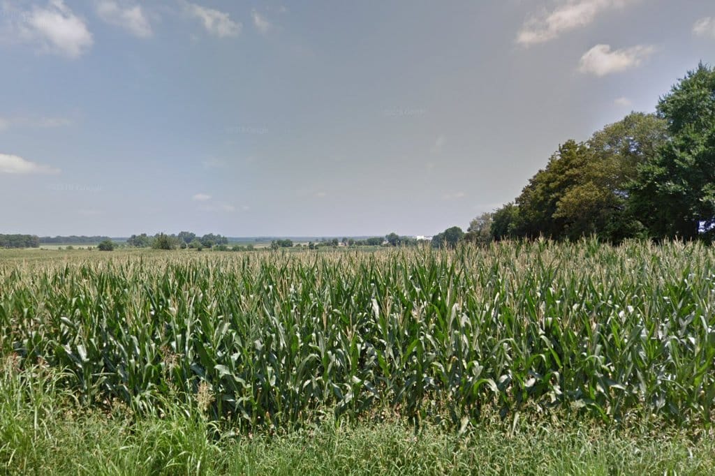 Millington DOS Driver License Station in Millington, TN - The County Office