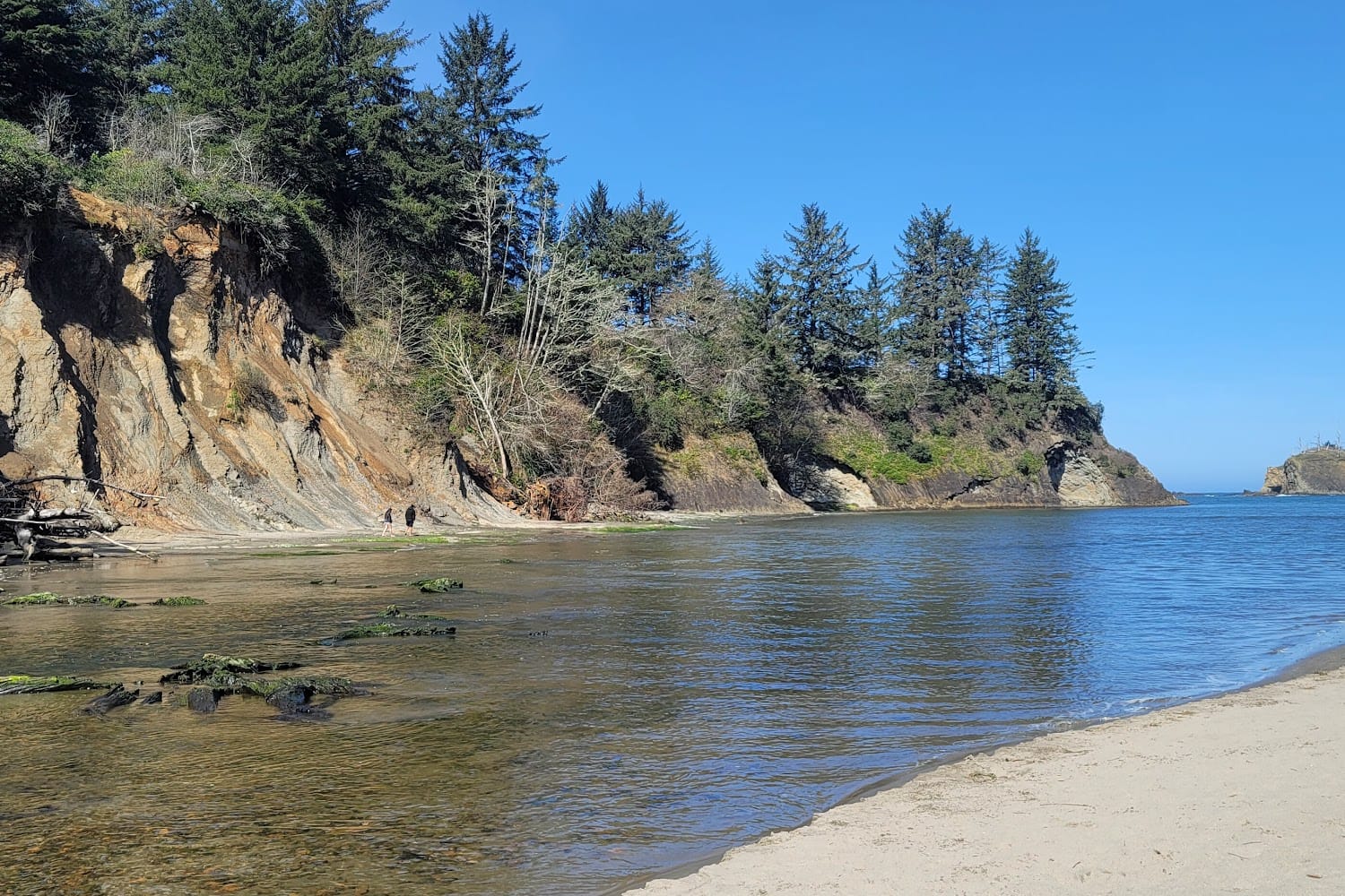 Coos County Humane Society, Inc. in Coos Bay, OR - Find Paw Pal