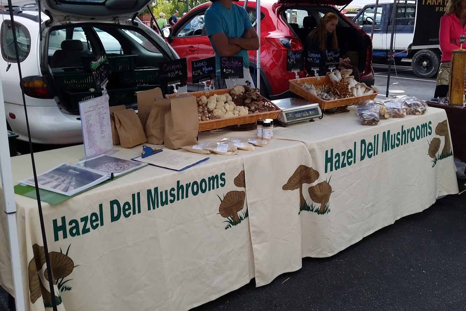 DMV in Fort Collins, CO - The County Office