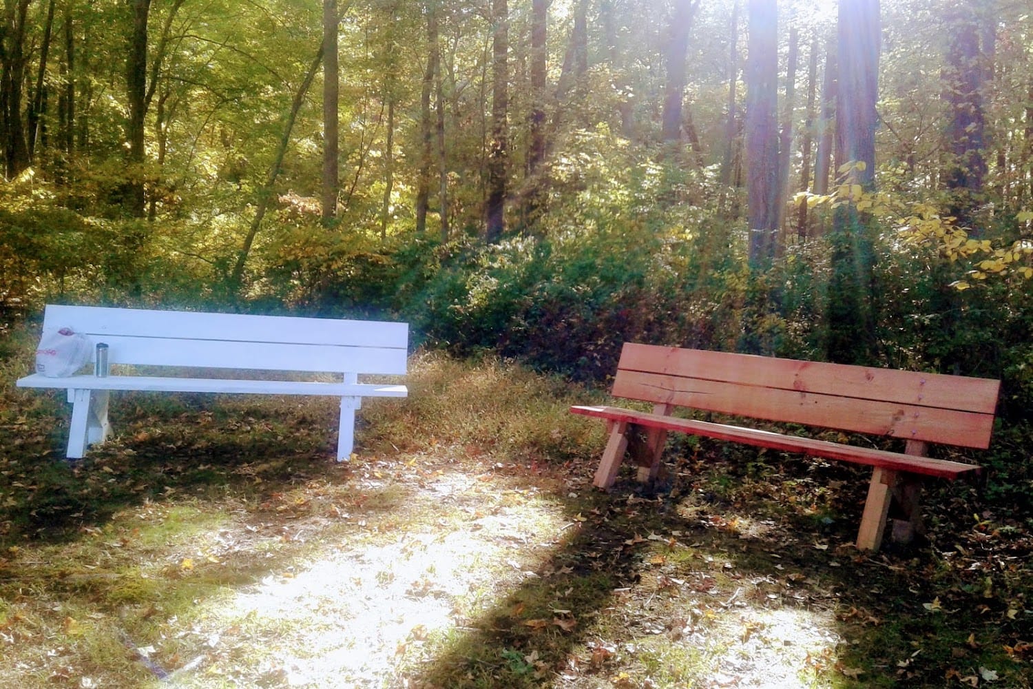 Animal Shelter in Monmouth County, NJ - The County Office