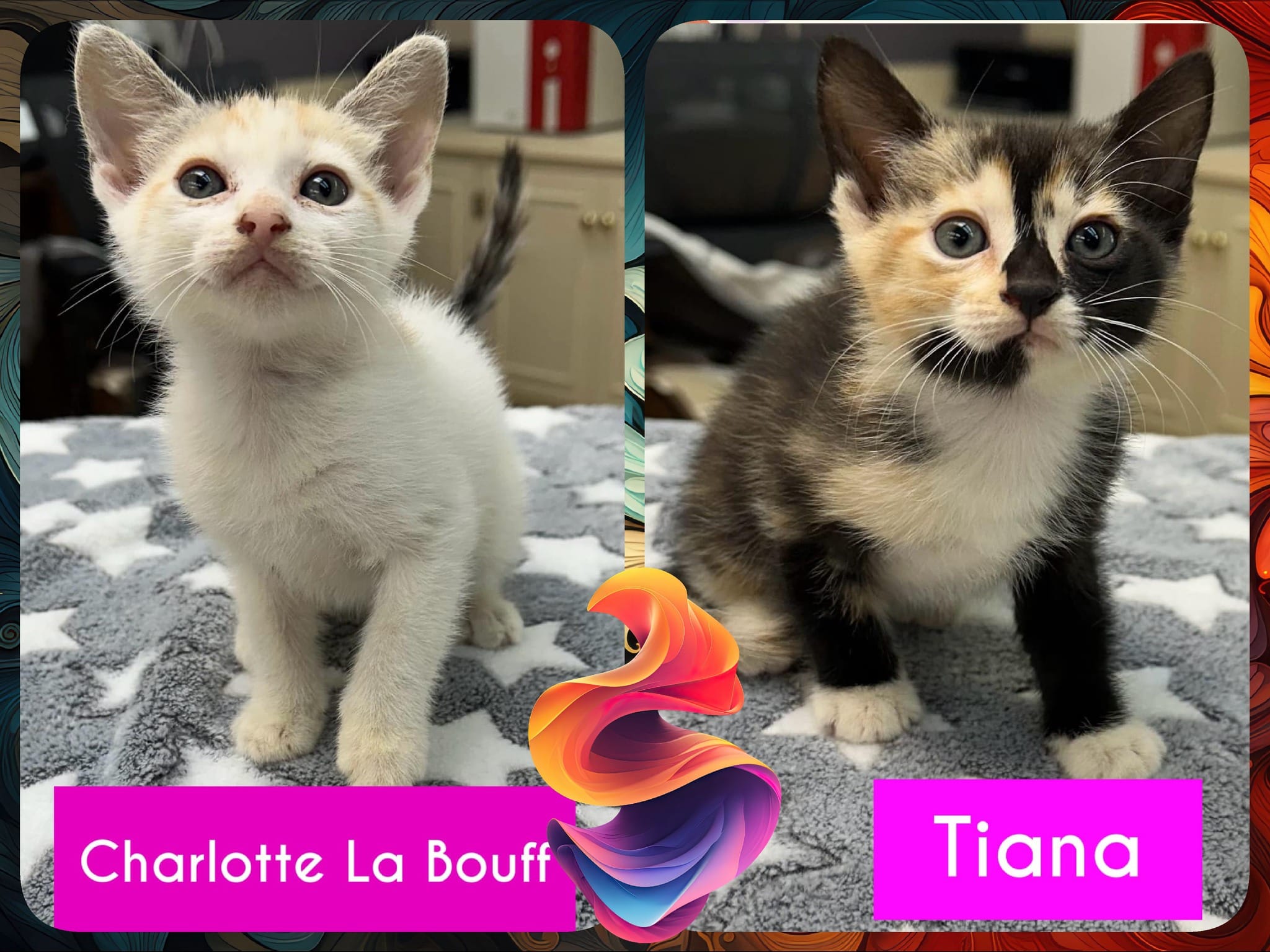 Adopt The Princess and the Frog girls Today - Find Paw Pal