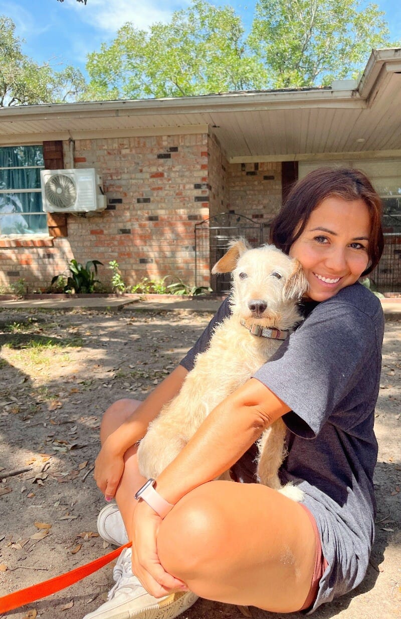 Adopt Rusty The Handsome Gentleman Today - Find Paw Pal