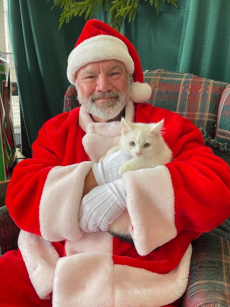 Adopt Onyx Robin Today - Pets TheCountyOffice