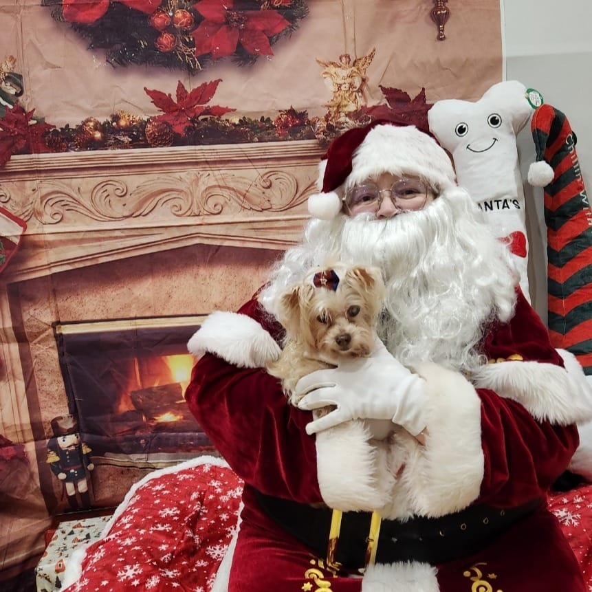 Adopt Ducky Today - Pets TheCountyOffice