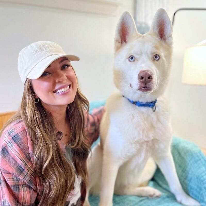 Adopt Marshall Cooper The Marshmallow Fluff Today - Find Paw Pal