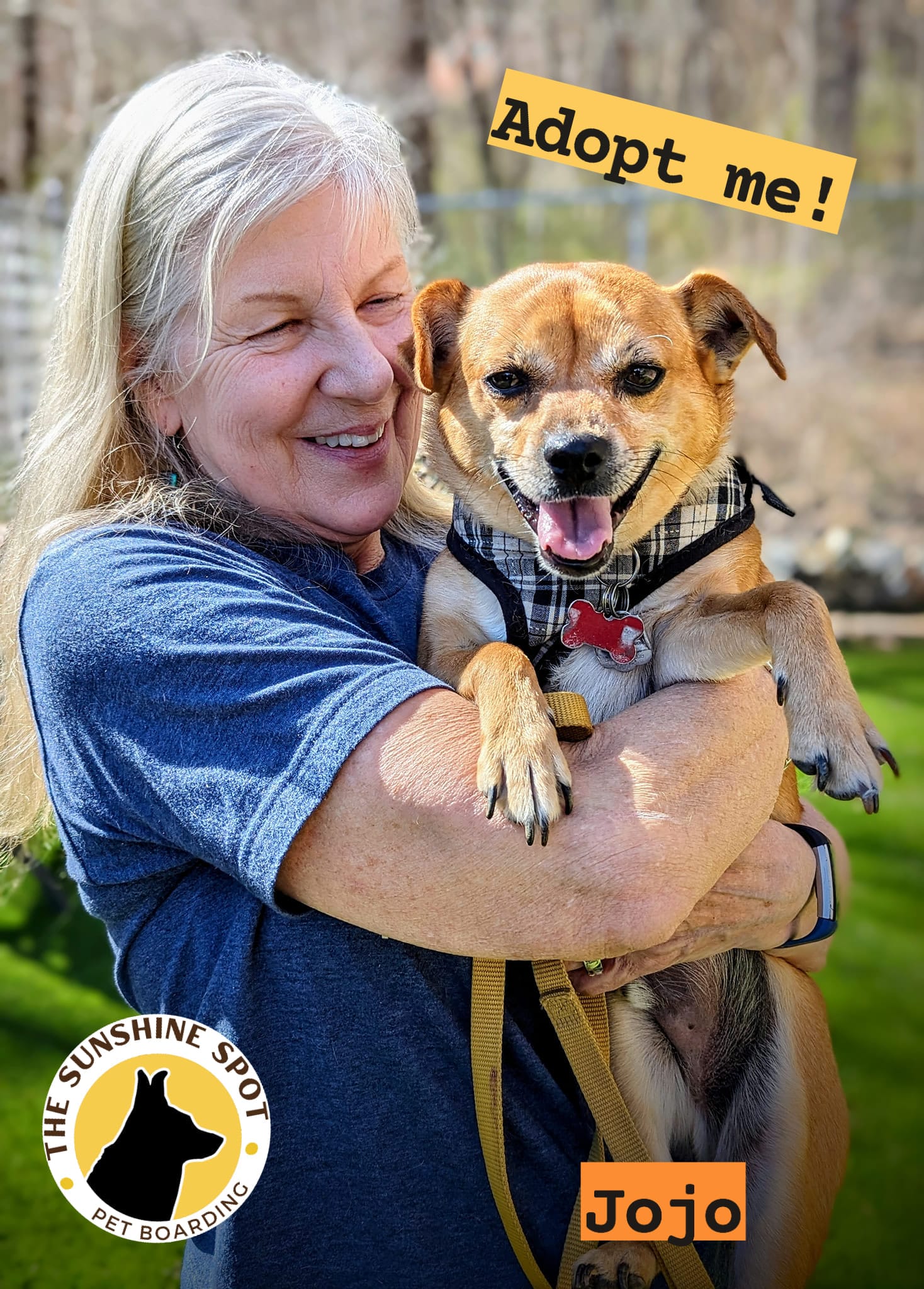 Adopt Jojo | COURTESY POST Today - Find Paw Pal