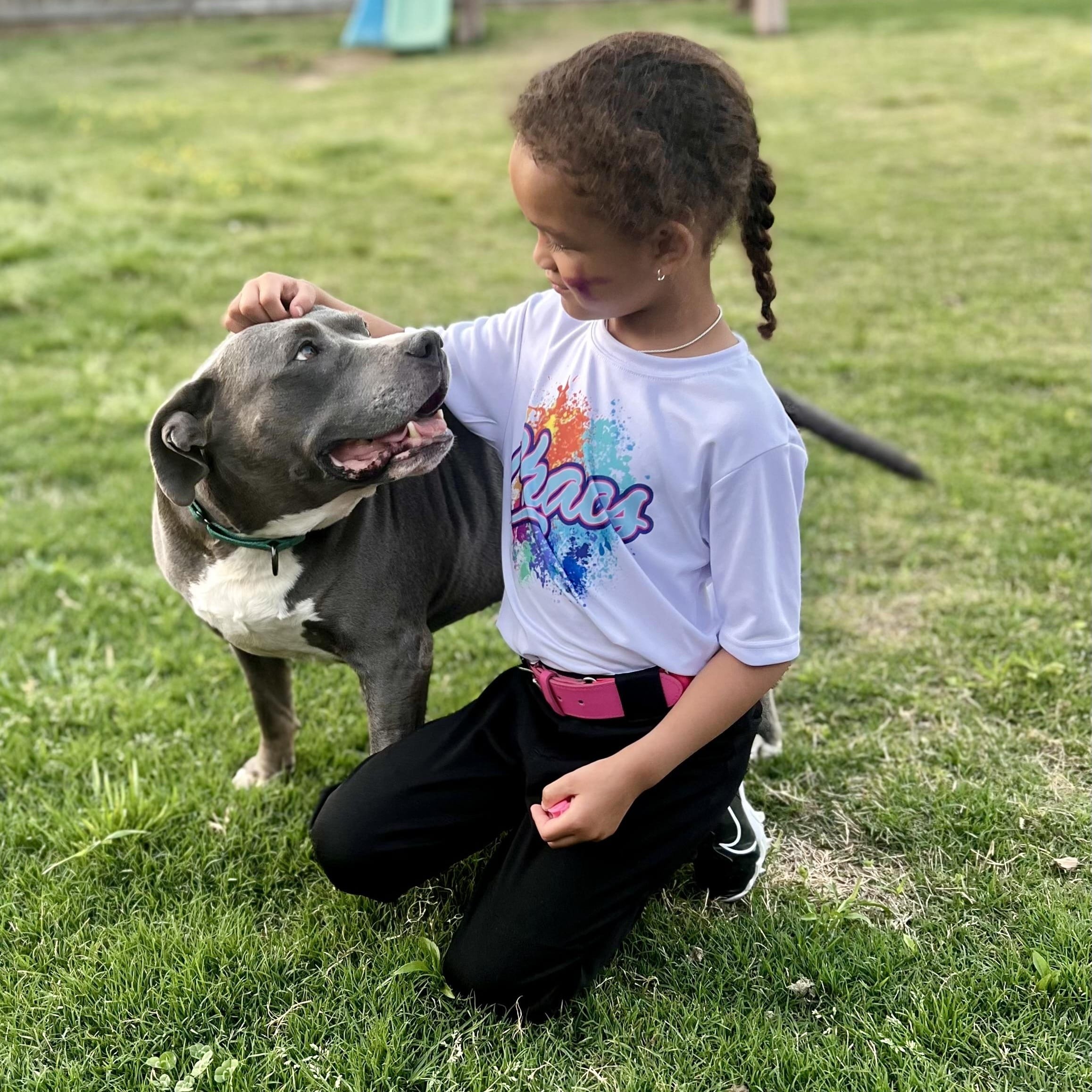Adopt Envy, the cutest House Hippo Ever! Today - Find Paw Pal