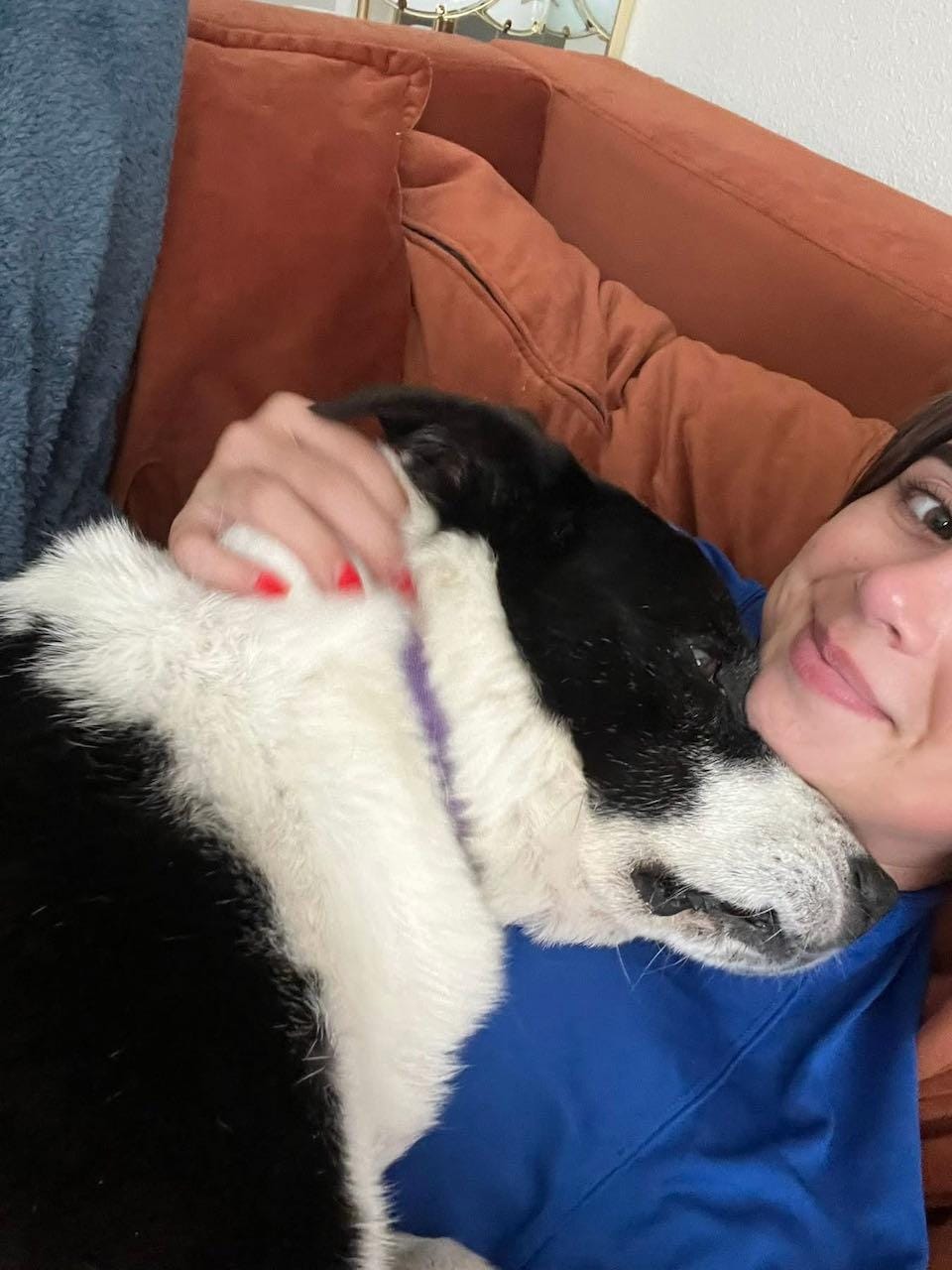 Adopt Panda Today - Pets TheCountyOffice