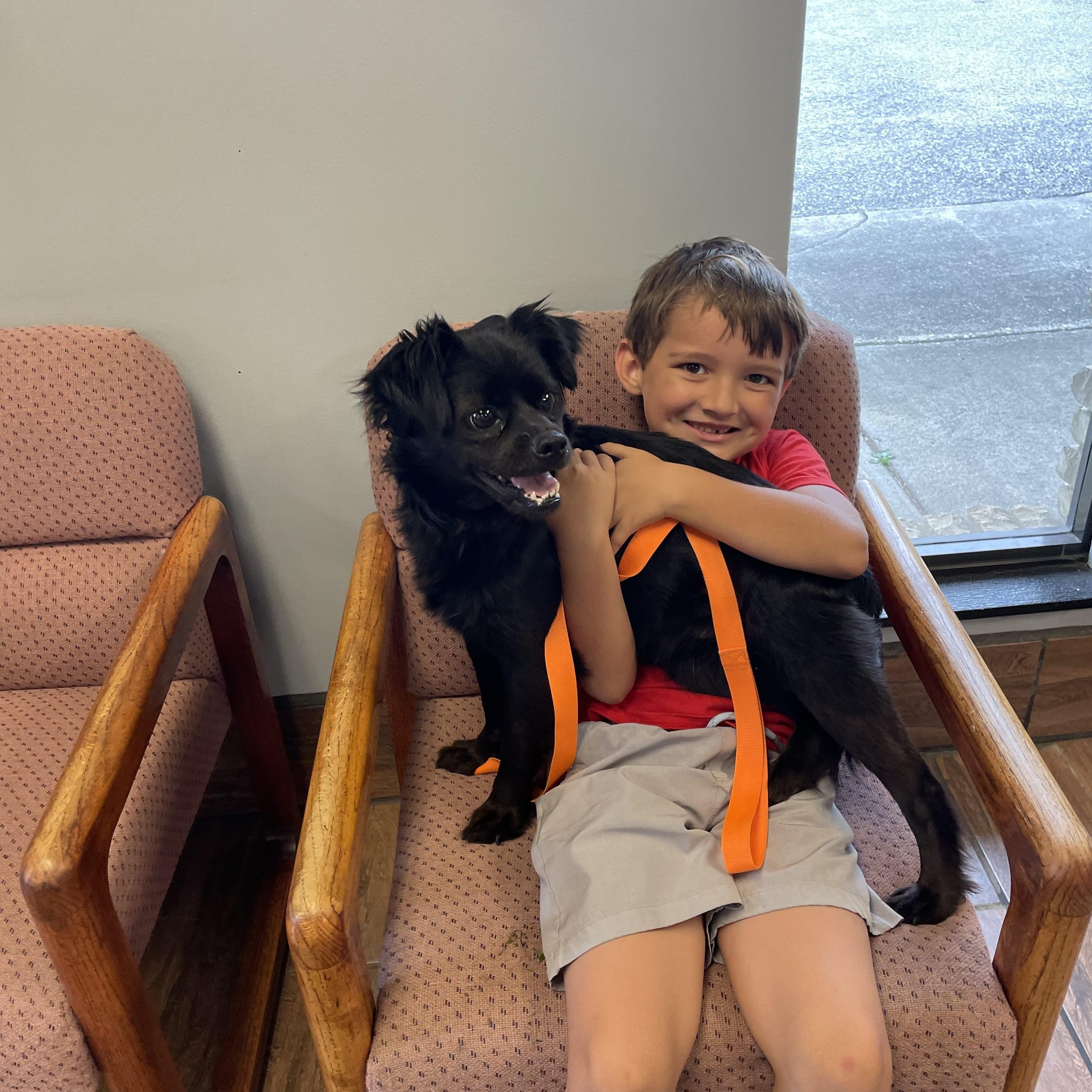 Adopt Buzz Today - Find Paw Pal