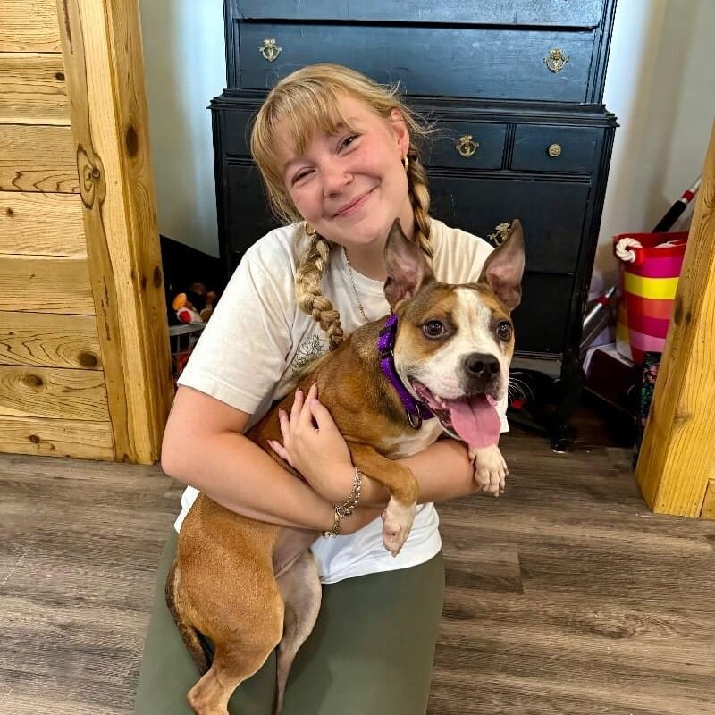 Adopt Maisie the spunky loving pocket pittie! Today - Find Paw Pal