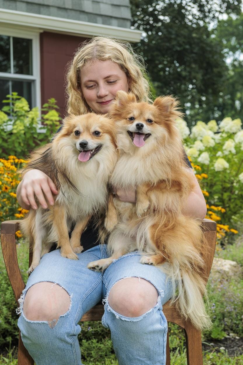 Adopt Kyle & Keith Today - Find Paw Pal