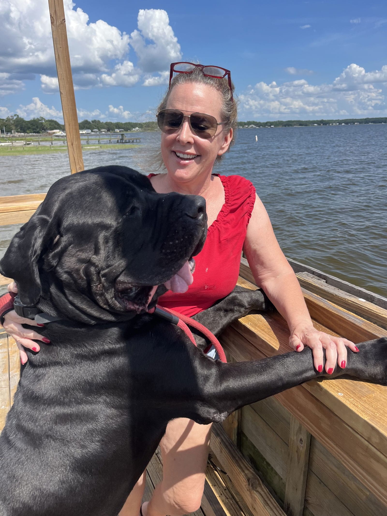 Adopt Rip *Courtesy Post* Today - Find Paw Pal