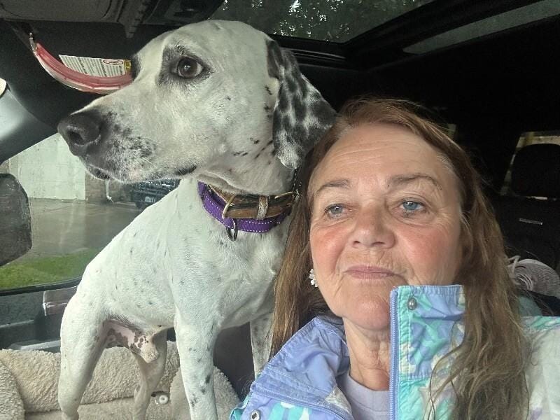 Adopt Fire Marshal Bill will set your heart on fire Today - Find Paw Pal