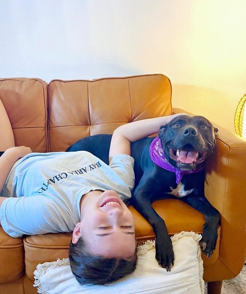 Adopt Polly Anna the Princess of lap snuggles and giggles Today - Pets ...