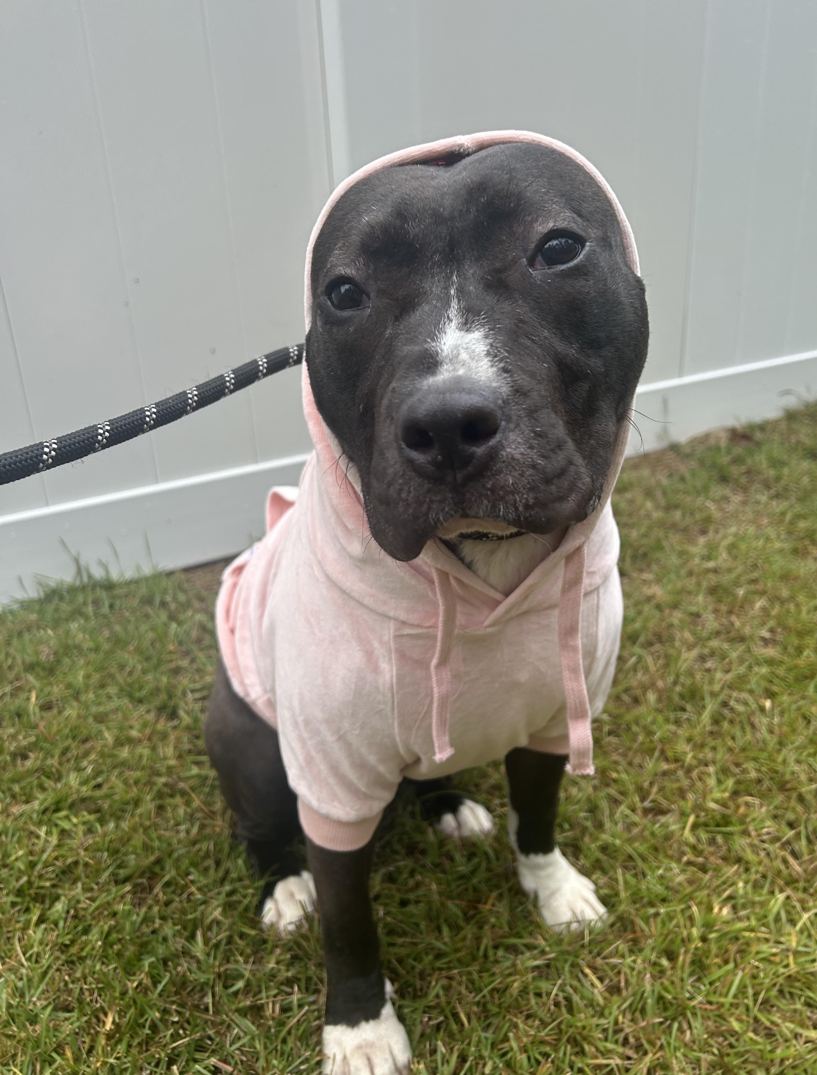 Adopt Nutta Butta Spittin’ Bars & Breakin’ Hearts — Rap Queen Now ...